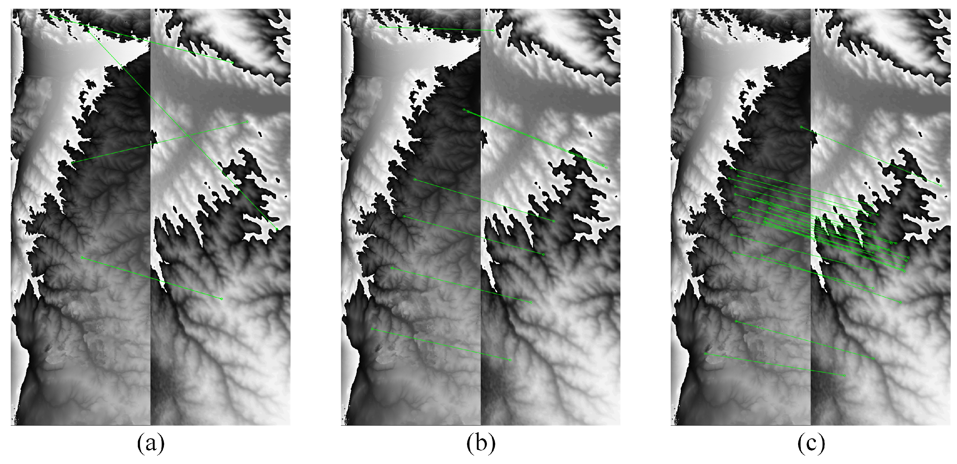 An InSAR Interference Fringe-Matching Algorithm Based on Mountain Branch Points