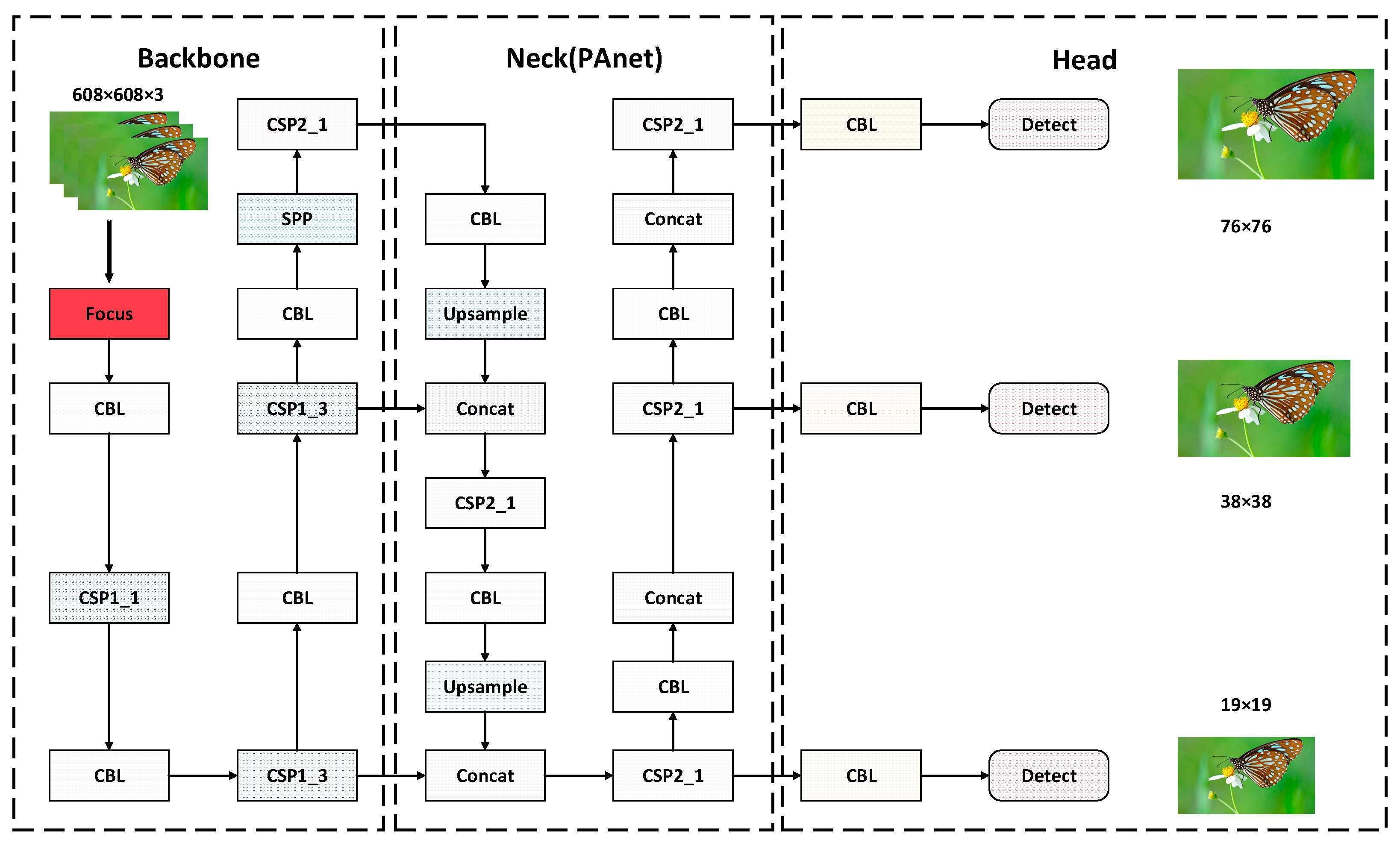 Applied Sciences | Free Full-Text | Real-Time Target Detection System for Animals Based on Self ...