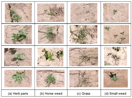 Applied Sciences | Free Full-Text | Formation of a Lightweight, Deep ...