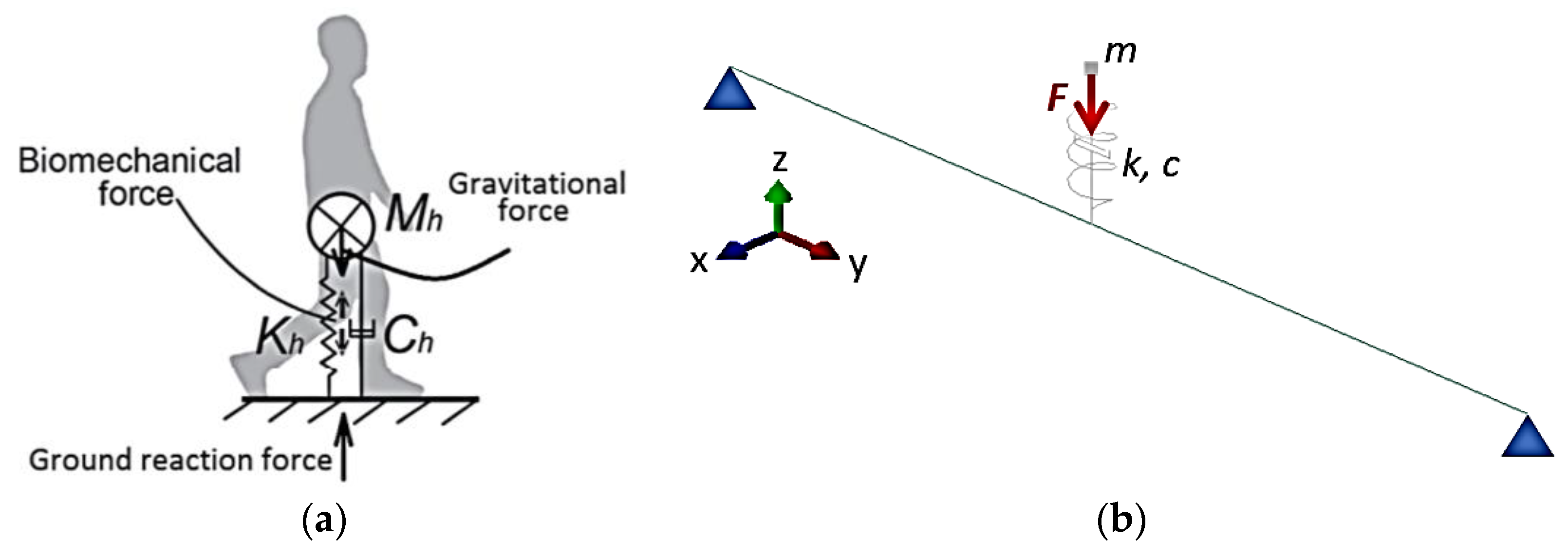 Applied Sciences | Free Full-Text | Effect of Spring-Mass-Damper Pedestrian Models on the ...