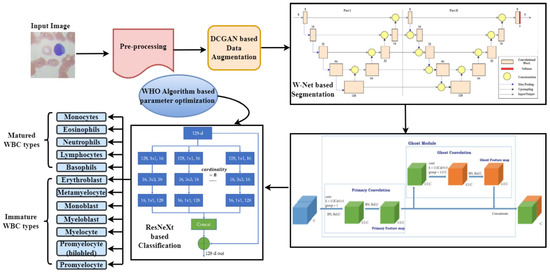 Applied Sciences | Free Full-Text | Ghost-ResNeXt: An Effective Deep ...