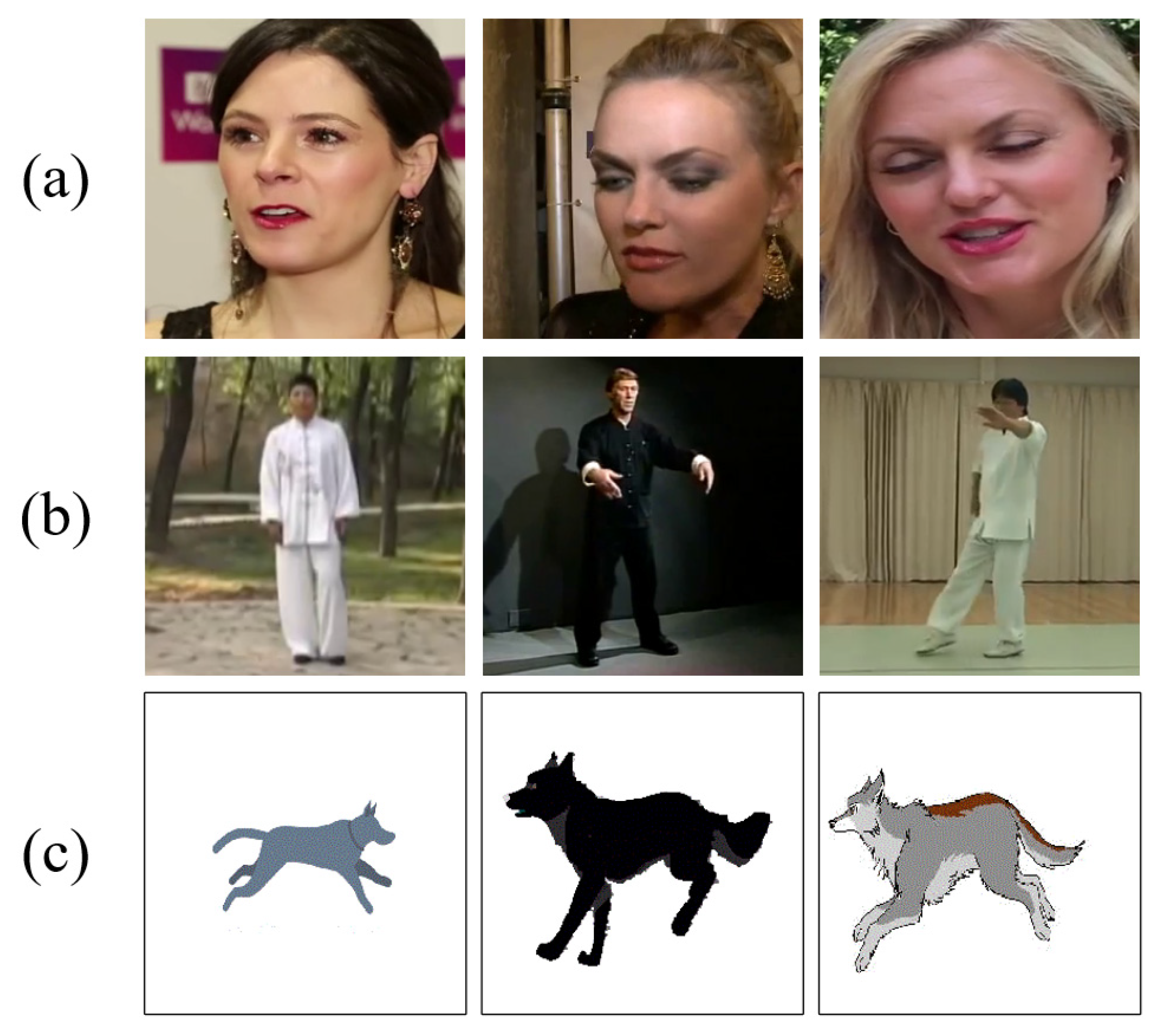 Improved First-Order Motion Model of Image Animation with Enhanced Dense Motion and Repair Ability