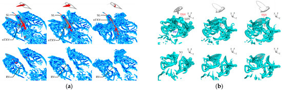 Immersed Boundary Methods for Simulations of Biological Flows in ...