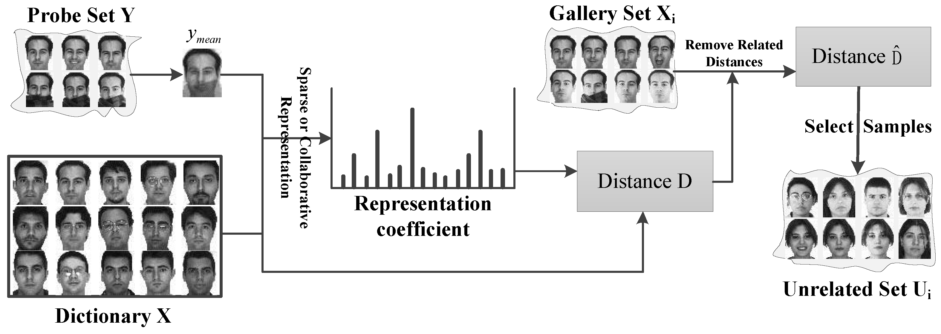 Sample Reduction-Based Pairwise Linear Regression Classification for ...