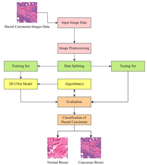 Applied Sciences | Free Full-Text | Enhancing Ductal Carcinoma ...