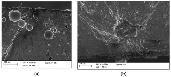 Assessment of the Critical Defect in Additive Manufacturing Components ...