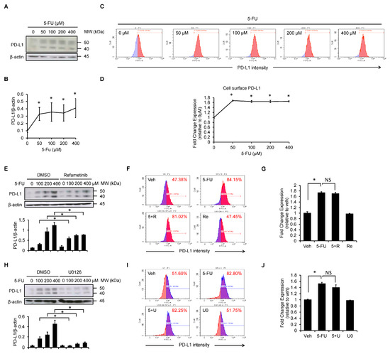 Enhancement of Anticancer Effects by Combining 5-Fluorouracil with ...