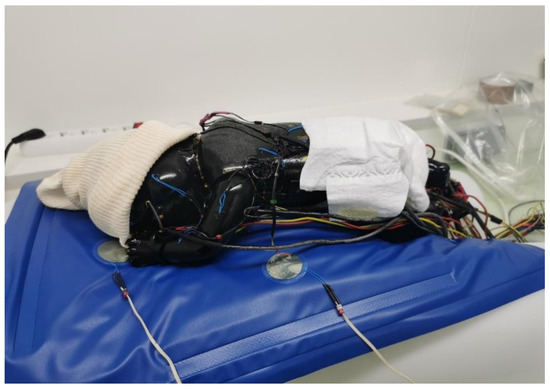 Applied Sciences | Free Full-Text | Use of a Novel Mathematical Model ...