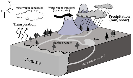 Neural Network-Based Identification of Cloud Types from Ground-Based ...