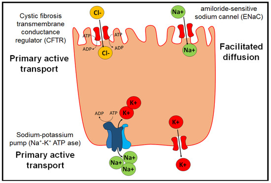 Therapeutic Targets in the Virological Mechanism and in the ...