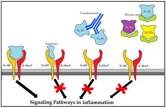 Therapeutic Targets in the Virological Mechanism and in the ...