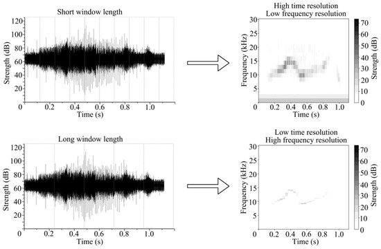 Application of Wavelet Transform for the Detection of Cetacean Acoustic Signals