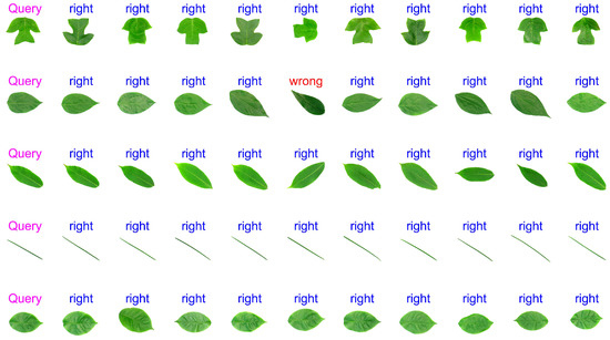 An Effective Plant Recognition Method with Feature Recalibration of ...