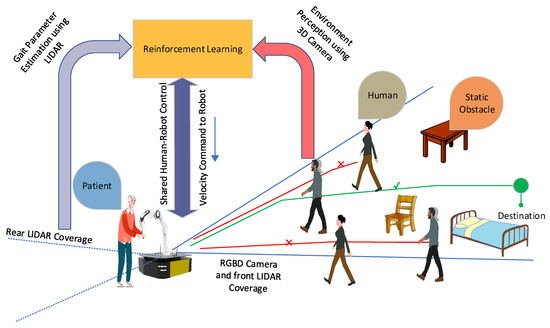 Patient–Robot Co-Navigation of Crowded Hospital Environments