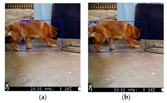 Convolutional Neural Network-Based Automated System for Dog Tracking and Emotion Recognition in ...