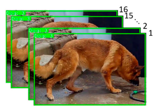 Convolutional Neural Network-Based Automated System for Dog Tracking ...