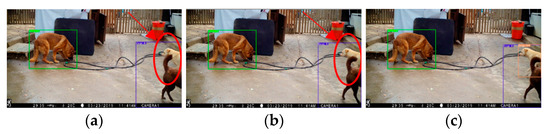Convolutional Neural Network-Based Automated System for Dog Tracking ...
