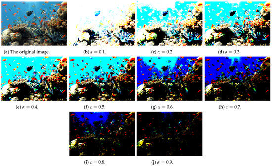 Image-Based Malware Detection Using α-Cuts and Binary Visualisation