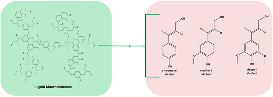 Laccase in Biorefinery of Lignocellulosic Biomass