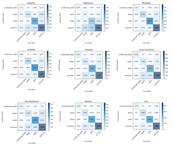 Applied Sciences | Free Full-Text | Wild Mushroom Classification Based ...