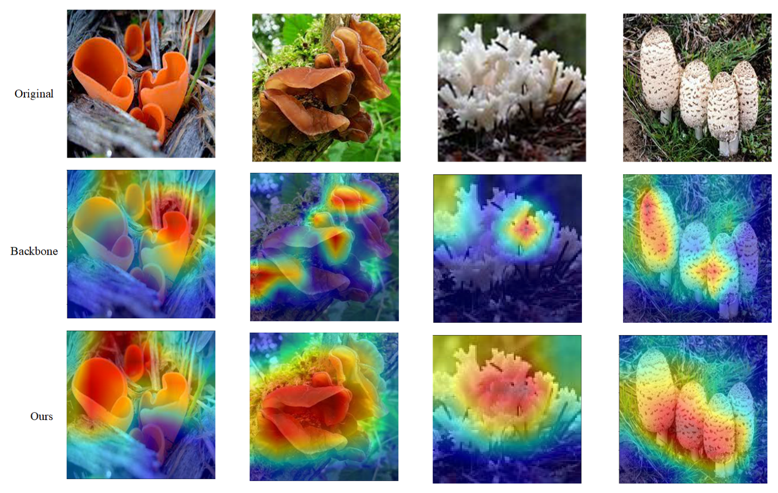 Applied Sciences | Free Full-Text | Wild Mushroom Classification Based ...