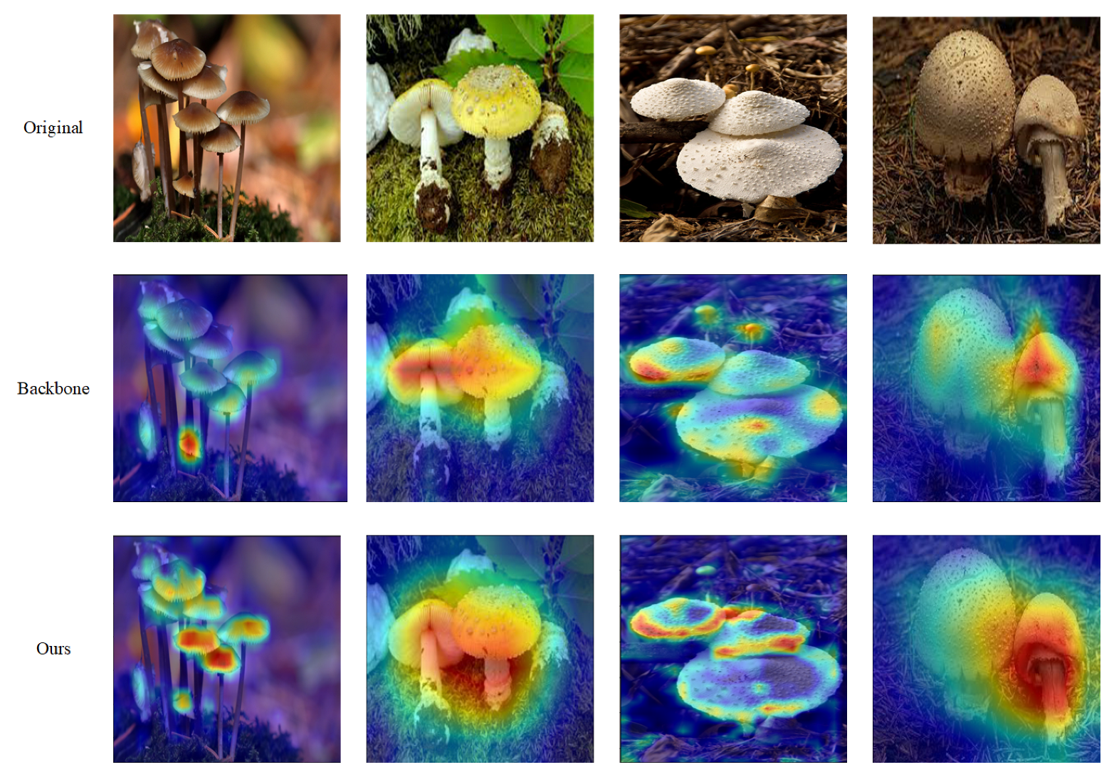 Applied Sciences | Free Full-Text | Wild Mushroom Classification Based ...