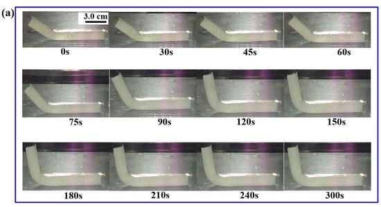 Two-Way Shape Memory Effect of a Shape Memory Composite Strip