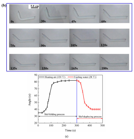 Two-Way Shape Memory Effect of a Shape Memory Composite Strip