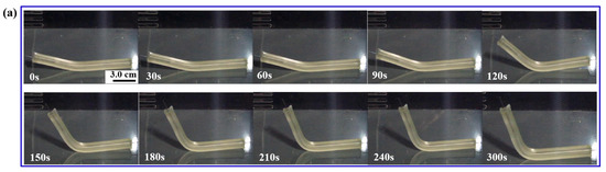 Two-Way Shape Memory Effect of a Shape Memory Composite Strip