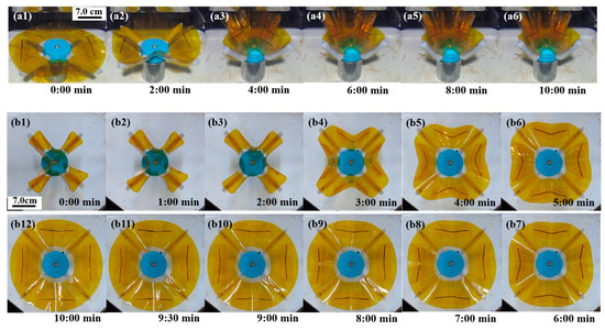 Two-Way Shape Memory Effect of a Shape Memory Composite Strip