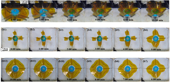 Two-Way Shape Memory Effect of a Shape Memory Composite Strip