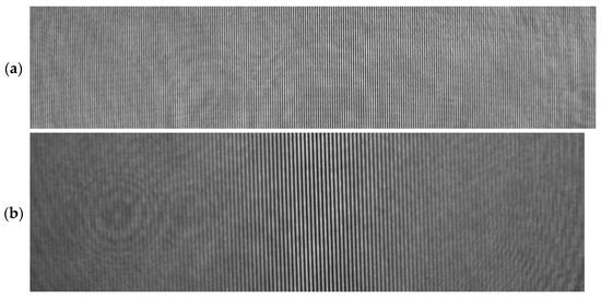 High-Resolution, Broad-Range Detection Setup for Polarimetric Optical ...