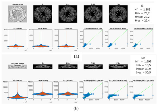 Cross-Correlation and Fractal Analysis in the Images Diatoms Symmetry