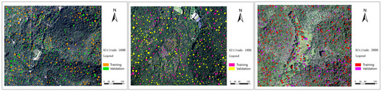 Identification of Tree Species in Forest Communities at Different ...