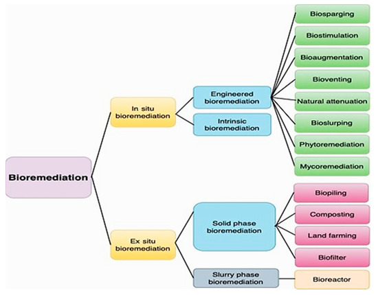 Mycoremediation as a Potentially Promising Technology: Current Status ...