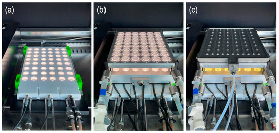 LED Illumination Modules Enable Automated Photoautotrophic Cultivation ...