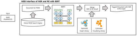 Web Interface of NER and RE with BERT for Biomedical Text Mining