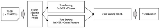 Web Interface of NER and RE with BERT for Biomedical Text Mining