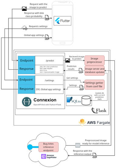 Applied Sciences | Free Full-Text | Deep Learning Methods for Bug Bite Classification: An End-to ...