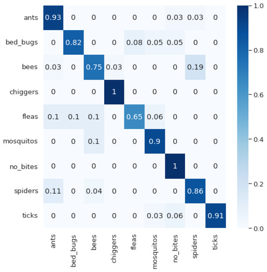 Applied Sciences | Free Full-Text | Deep Learning Methods for Bug Bite ...