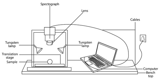 A Review of the Use of Near-Infrared Hyperspectral Imaging (NIR-HSI) Techniques for the Non ...
