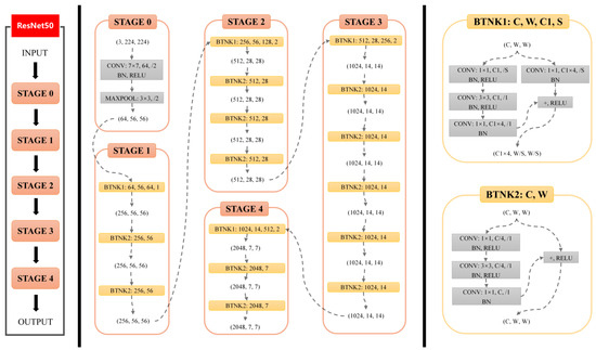 A Transfer Residual Neural Network Based on ResNet-50 for Detection of ...