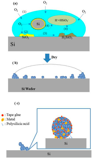 A Study of Ammonium Bifluoride as an Agent for Cleaning Silicon Contamination in the Wafer ...