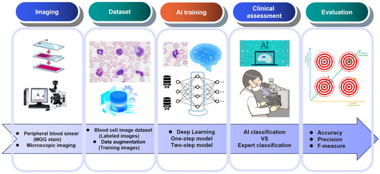 Classifying Microscopic Images of Reactive Lymphocytosis Using Two-Step ...