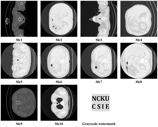 Secure NIfTI Image Authentication Scheme for Modern Healthcare System