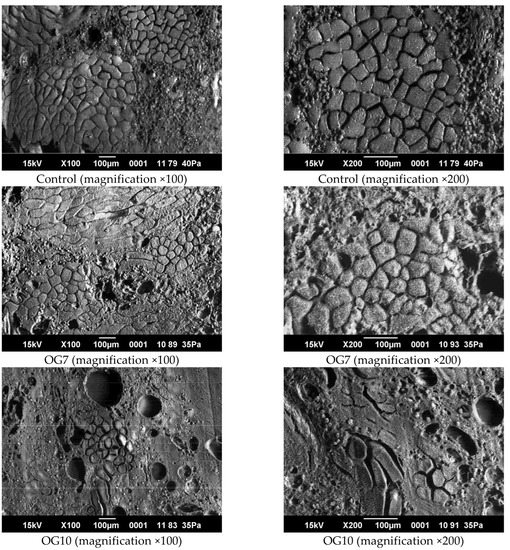 Substitution of Pork Fat with Beeswax-Structured Oleogels in Semi ...