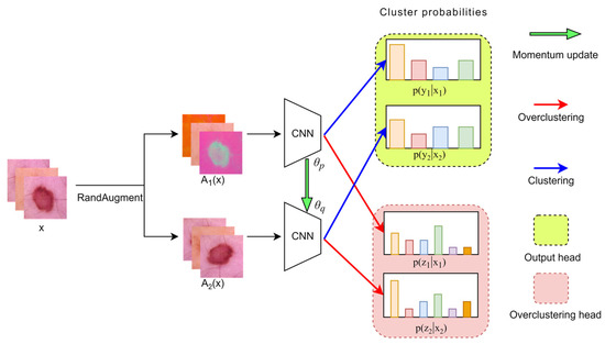 Applied Sciences | Free Full-Text | Semi-Supervised Medical Image ...