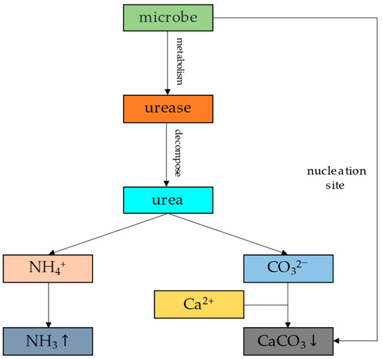 Regulation of Calcium Source and Addition Method for MICP in Repairing ...