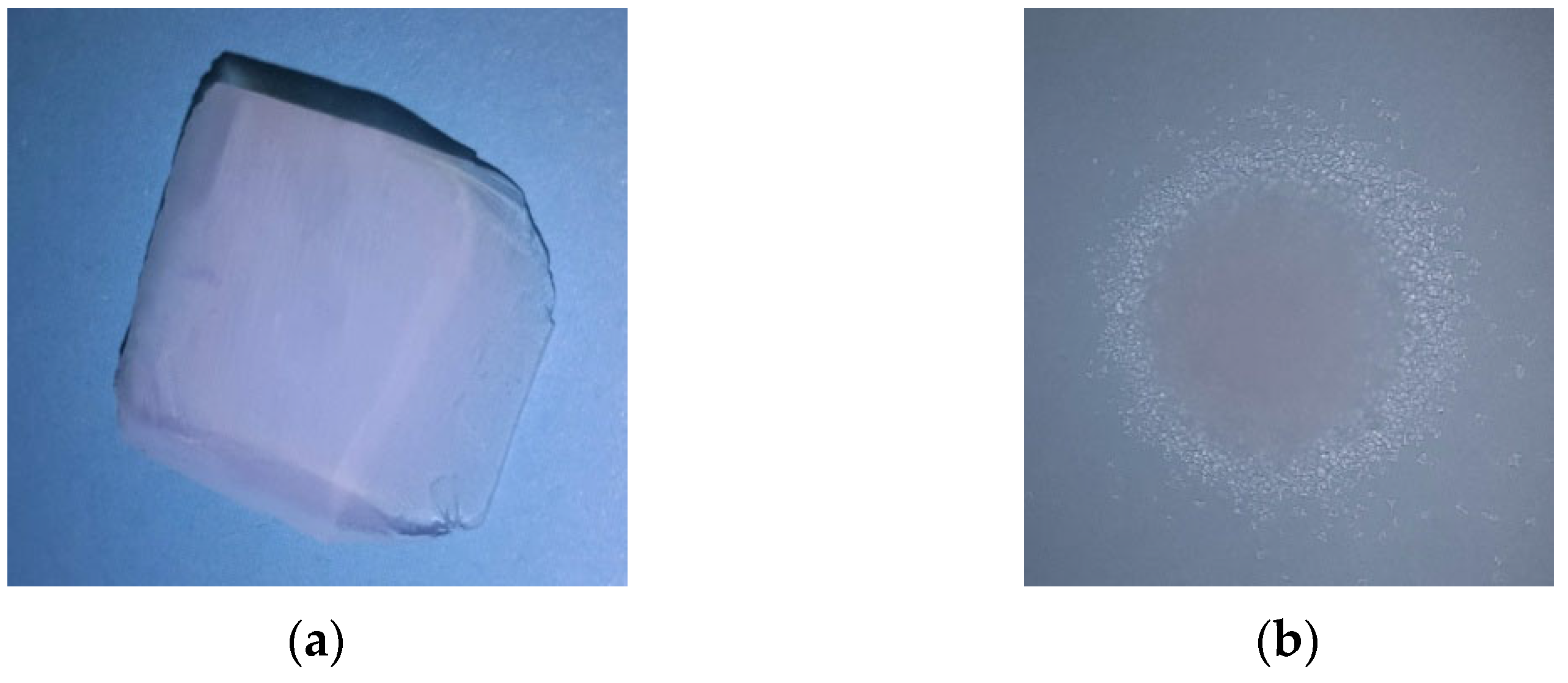 Intelligent Materials for Labeling Dentures in Forensic Dental ...