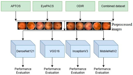 Applied Sciences | Free Full-Text | Transfer Learning for Diabetic Retinopathy Detection: A ...